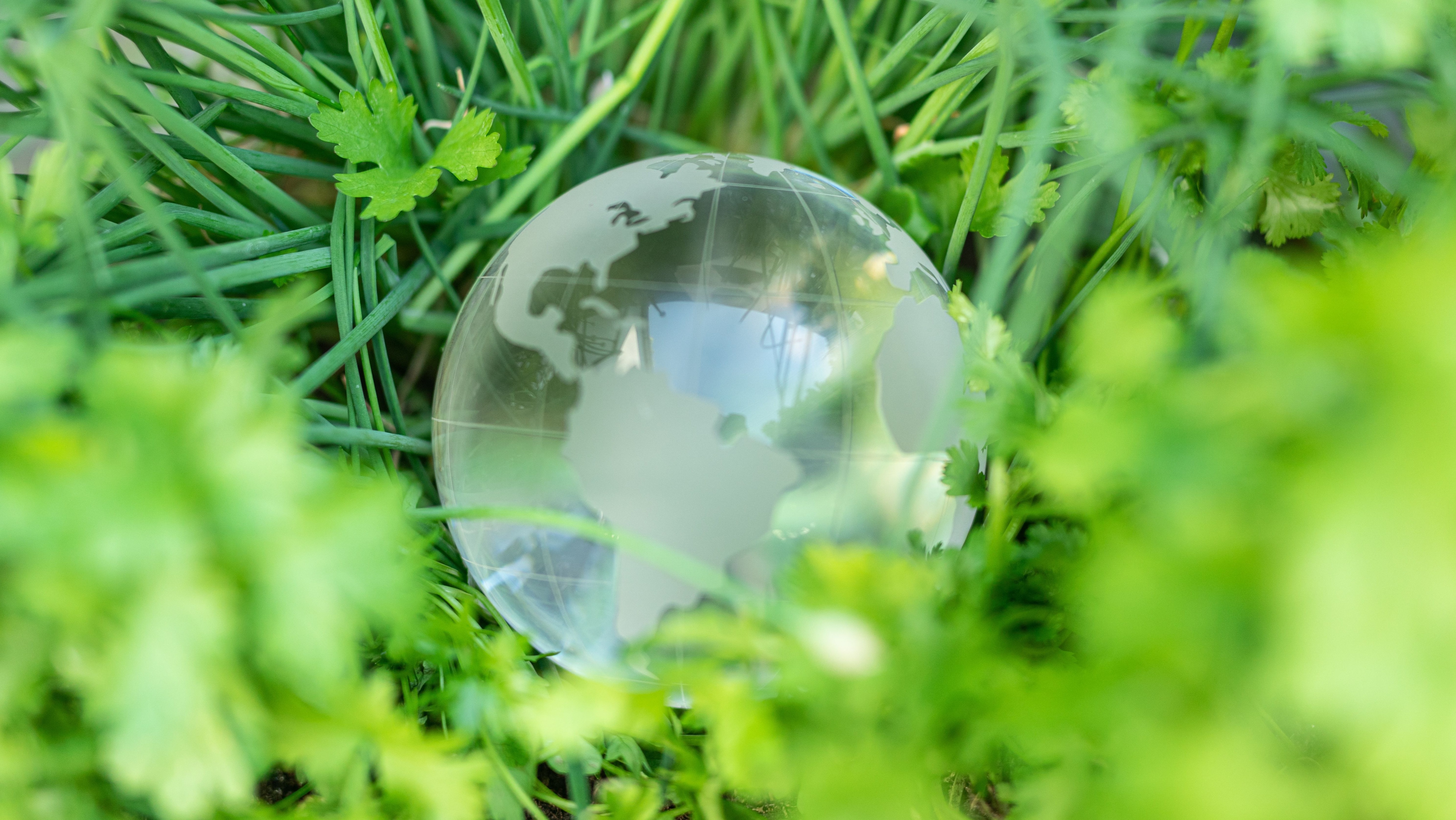 Earth Observation: The Toolbox of Our Time