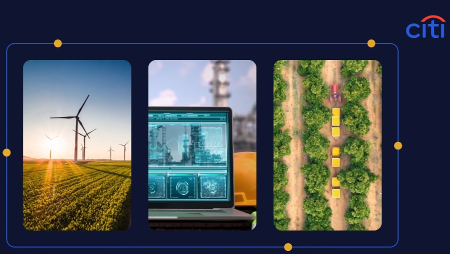 Citi’s Trade and Working Capital Loans