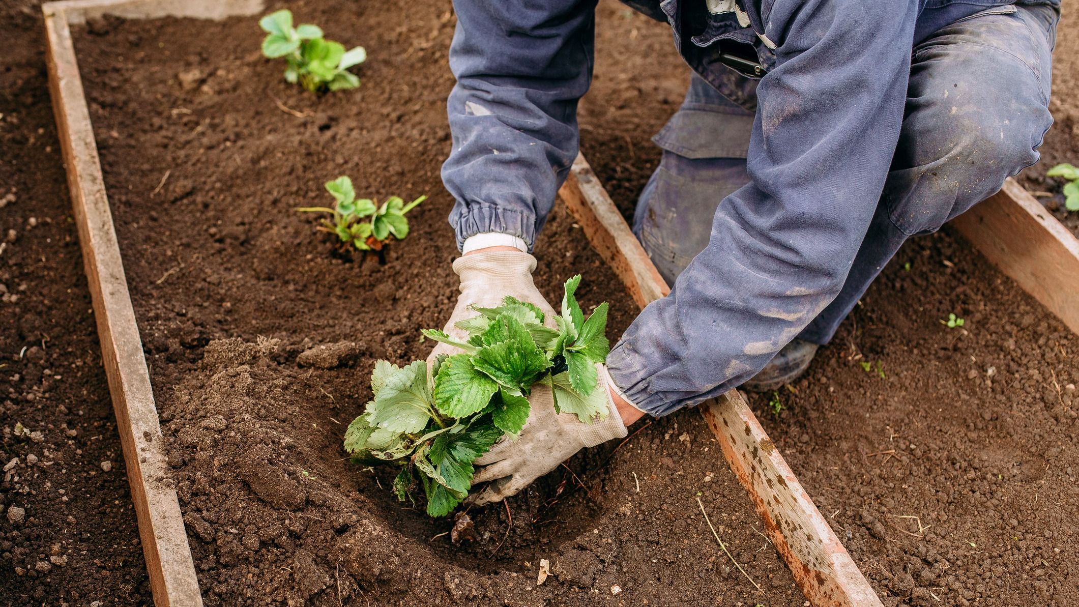 TD Bank names Ray Chun as new group head of Canadian personal banking ...